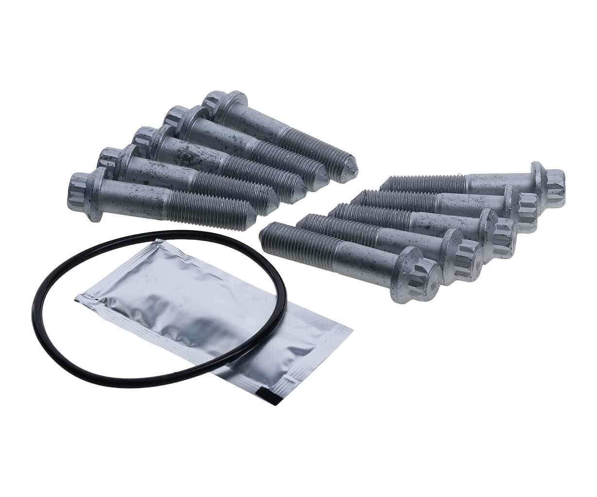 Болт SAF крепления диска тормозного (M14x1.5x65) (комплект 10шт, смазка, уплотнение), 075.620, SAMPA