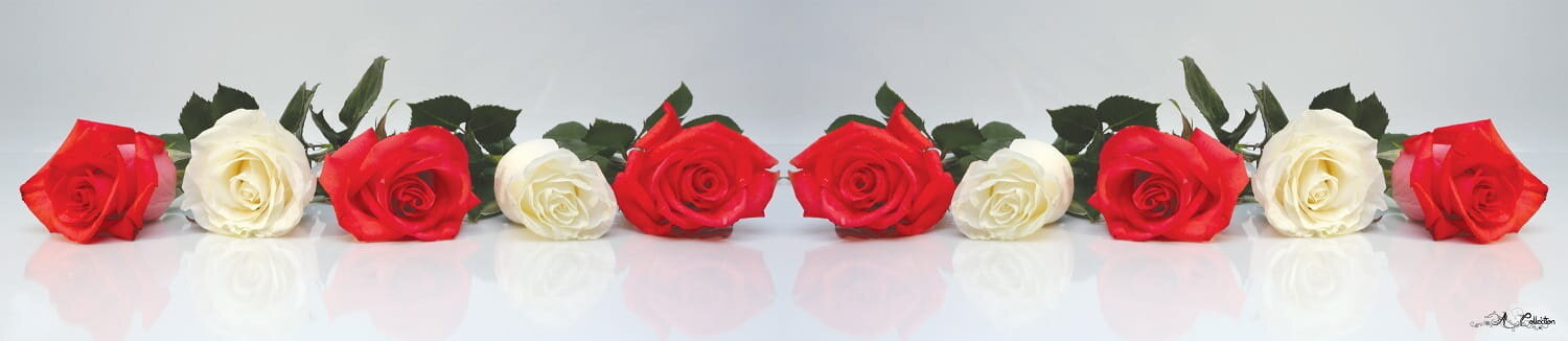 Кухонный фартук/стеновая панель МДФ для кухни 2800*600*6мм "SP-030"