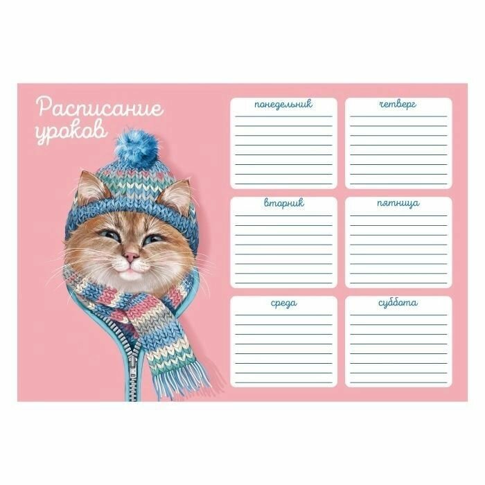 Расписание уроков "зимний котяра"