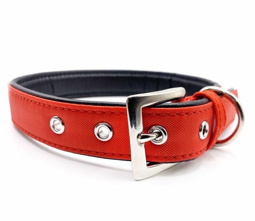 Ошейник для собак Japan Premium Pet нейлоновый для собак, цвет красный, размер L