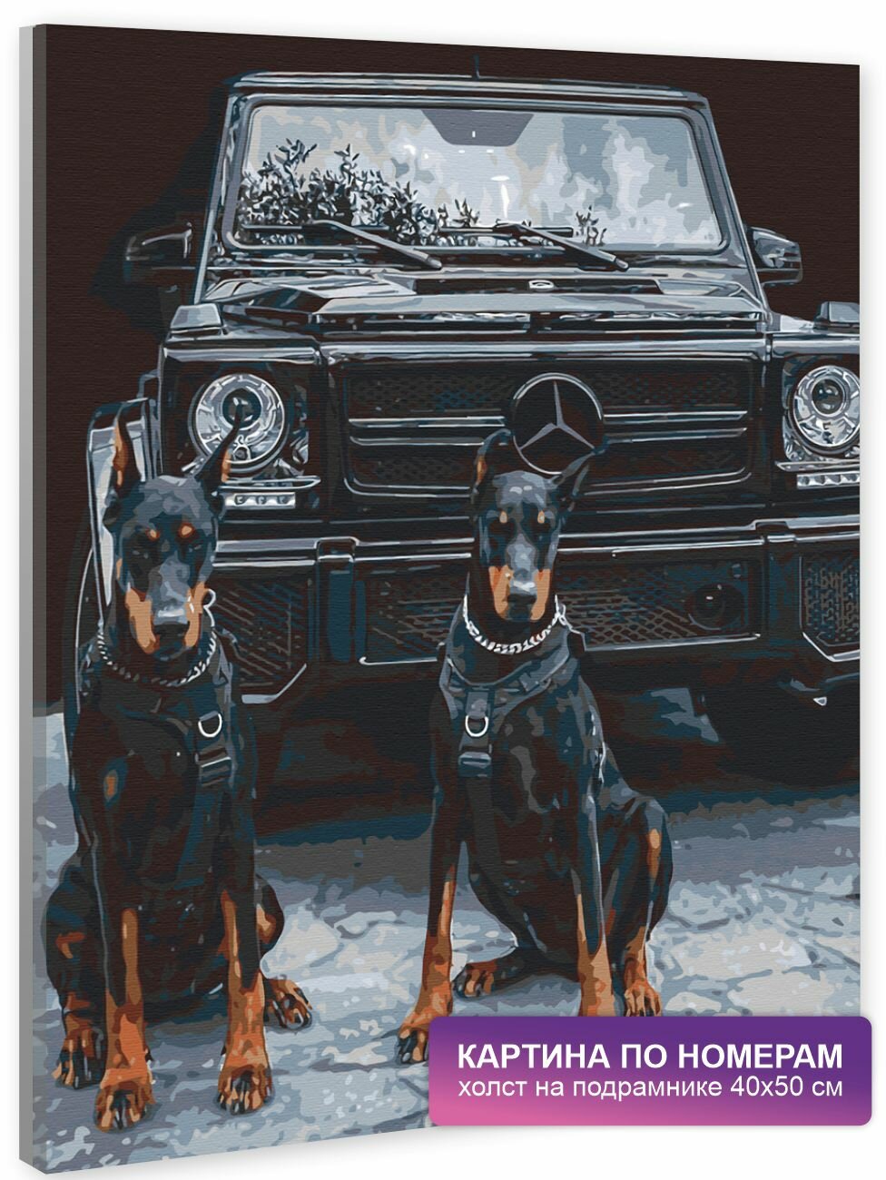 Картина по номерам на холсте с подрамником 40х50 см. Природа, животные, рыбы, птицы. Собаки, щенки. "Мерседес, Mercedes Гелендваген, Гелик и доберманы", арт. 4081/
