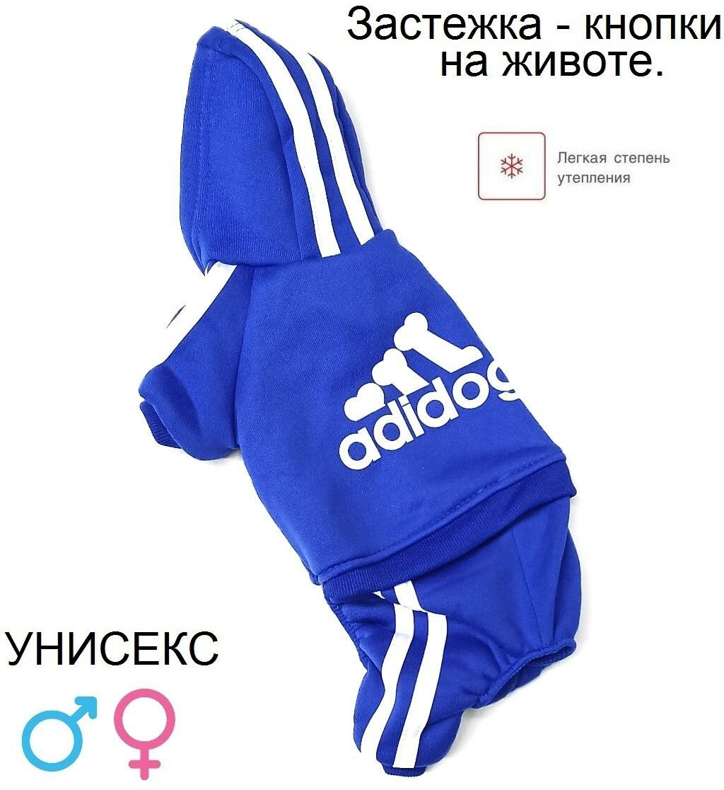 Костюм для собак "adidog" синий (41см )