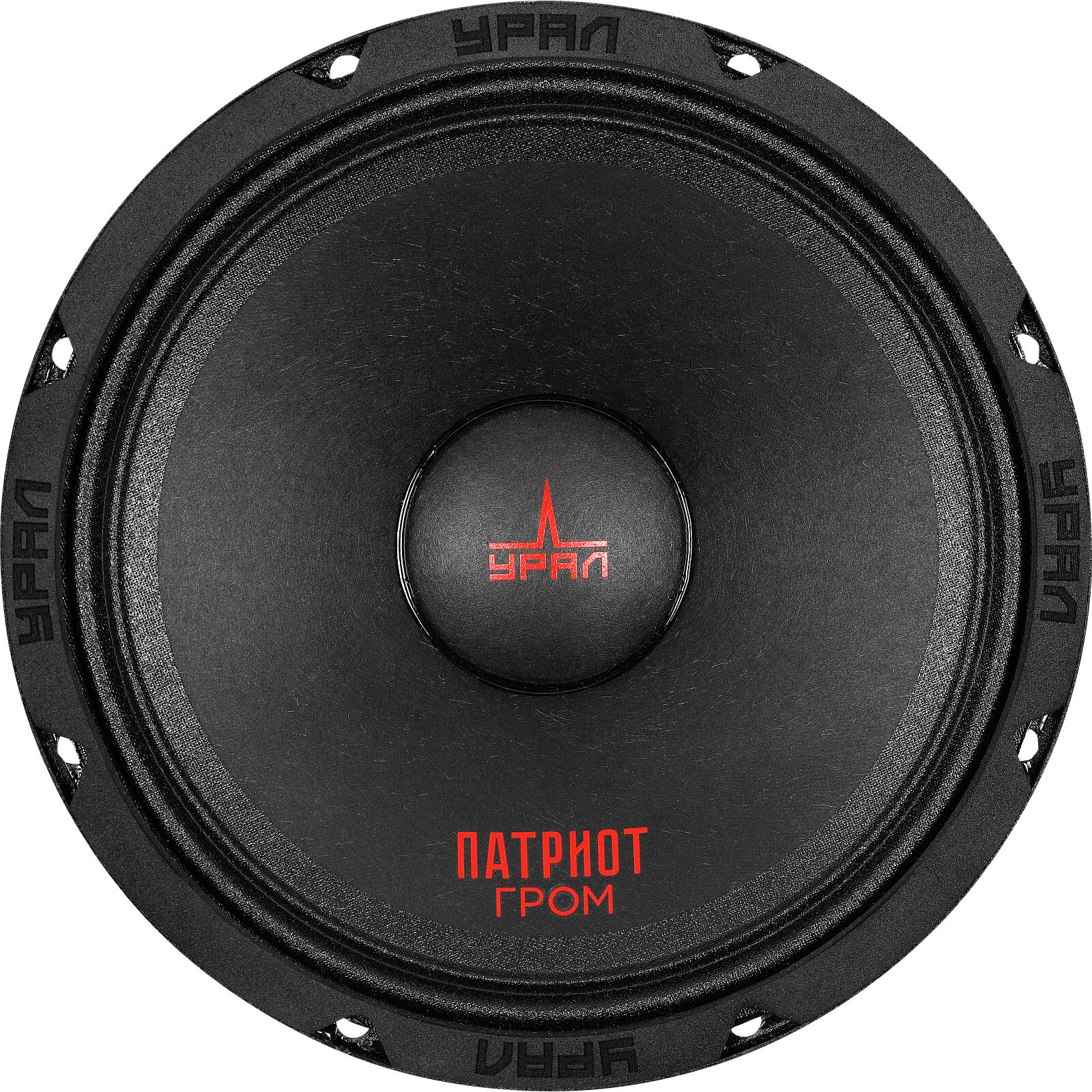 Среднечастотный динамик Ural АС-ПТ165.2 гром Акустика, 1 шт, 17 см (6.7 дюйм.), 600Вт, 110-1300Гц