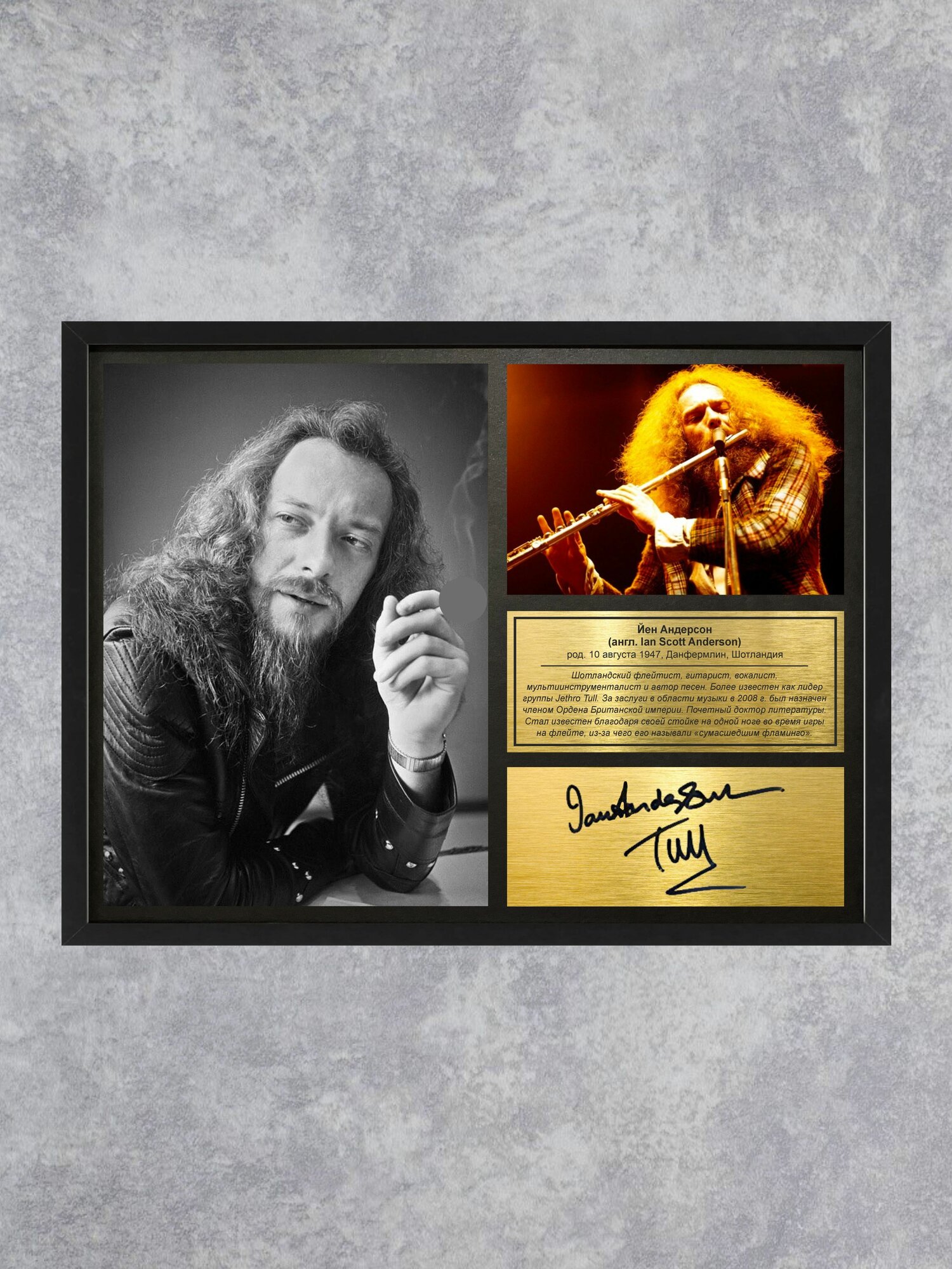 Ian Anderson Jethro картина панно с автографом 33х43см