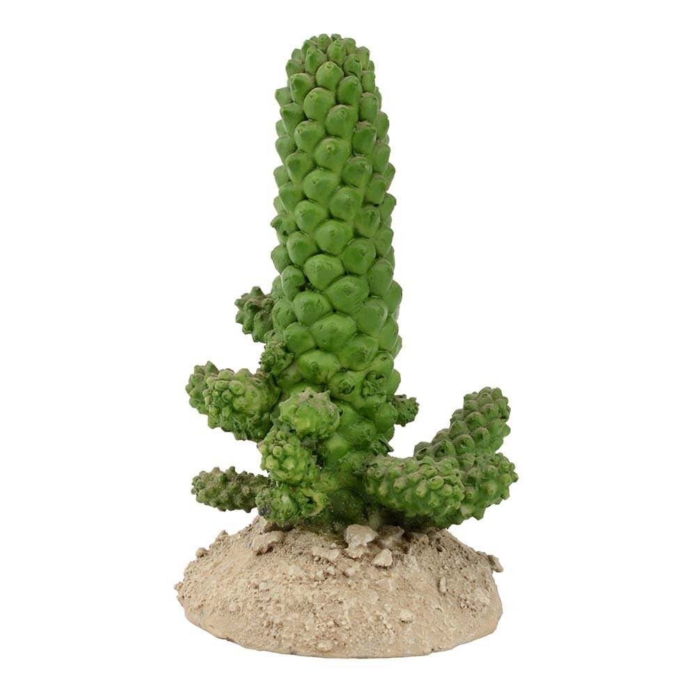 Растение пластиковое Gloxy Монадениум ричи, 6,5х6,5х11 см