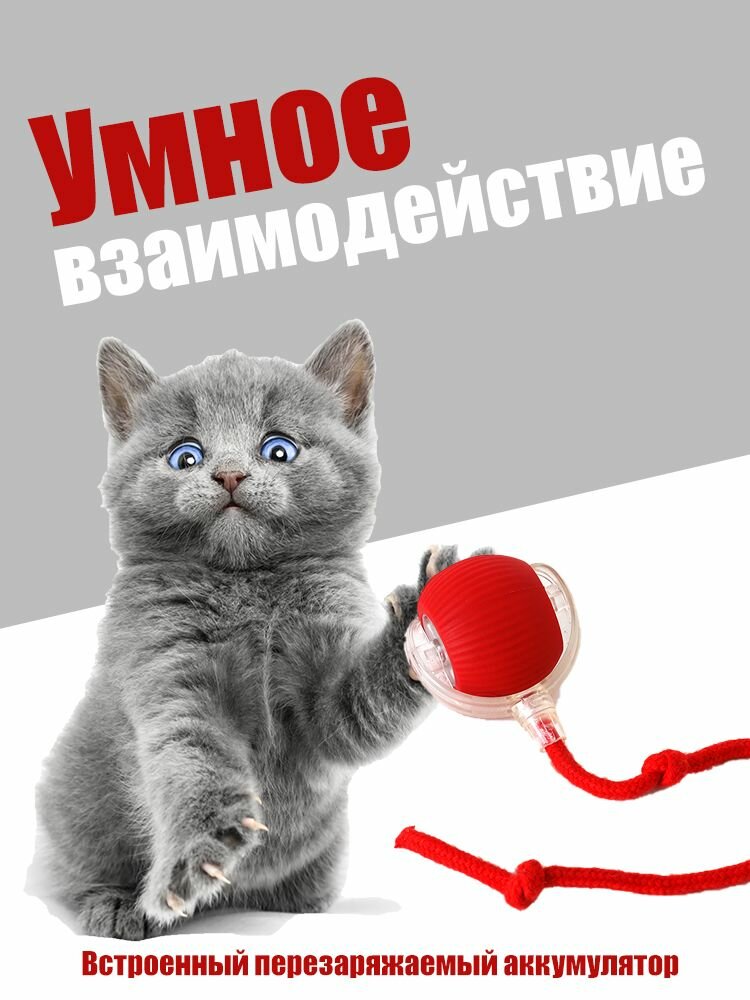 Игрушка для животных