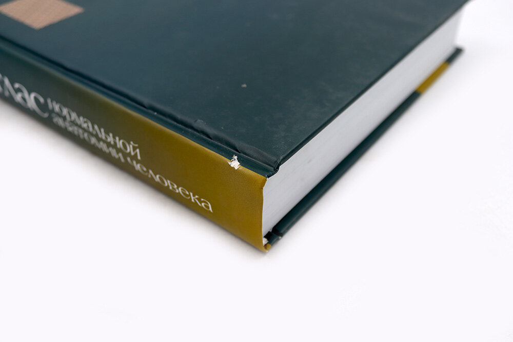 Уценка Атлас нормальной анатомии человека: Учебное пособие. 5-е изд. Никитюк Д.Б., Сапин М.Р., Швецов Э.В. МЕДпресс-информ