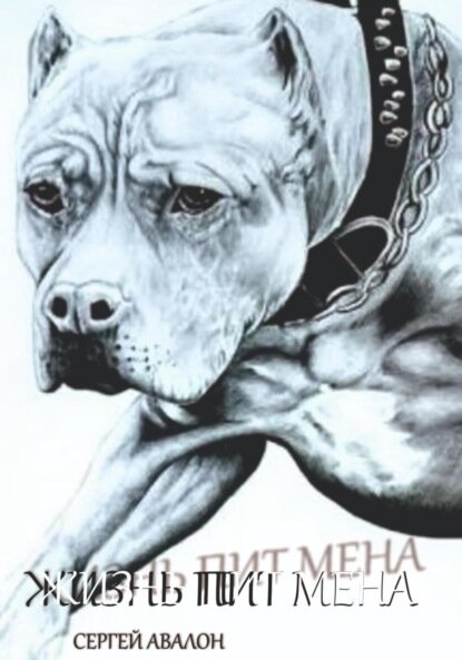 Жизнь Пит мена [Цифровая книга]