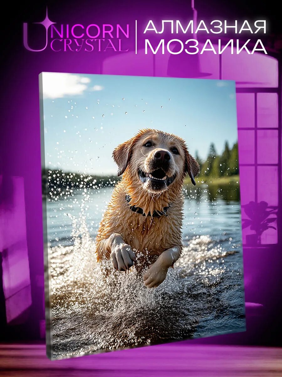 Алмазная мозаика Собака