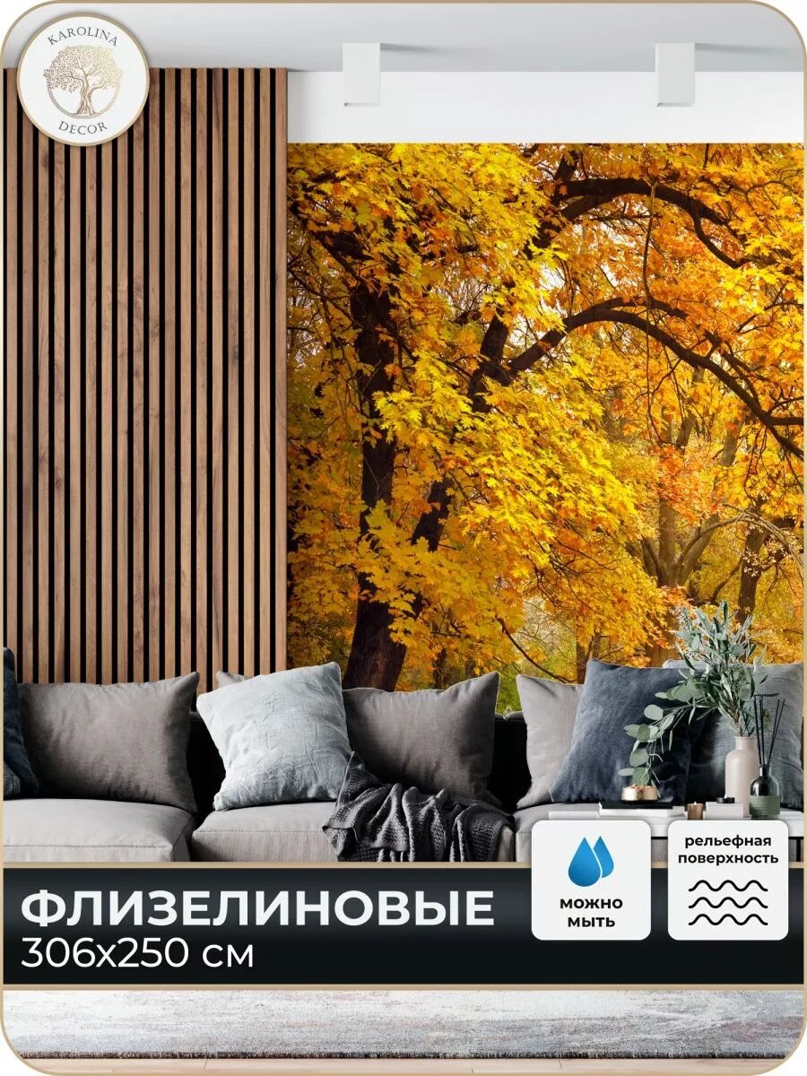 Фотообои Осенний Лес в детскую в спальню на кухню 300х250