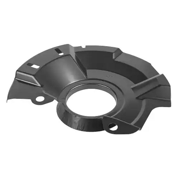 GANZ GIJ333002 щиток защитный тормозного диска