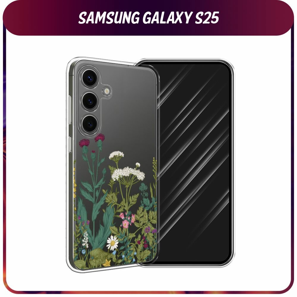 Чехол на Samsung Galaxy S25 / Самсунг S25 с принтом "Дикие полевые цветы", прозрачный