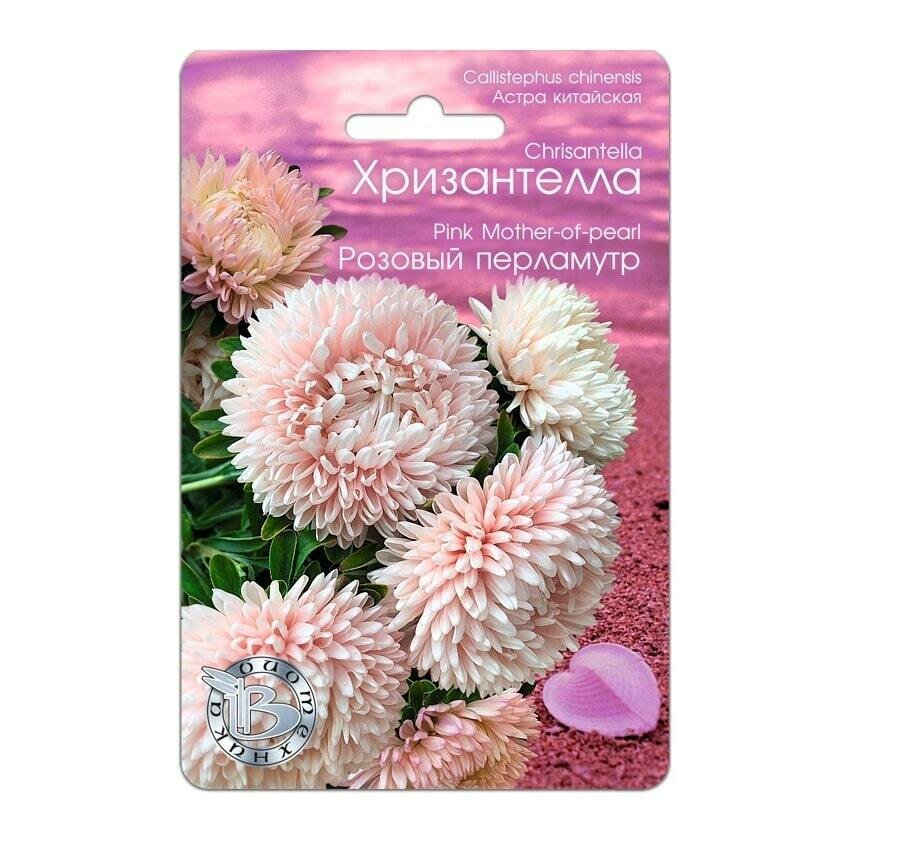 Семена Астра китайская Хризантелла Розовый перламутр АГ Биотехника