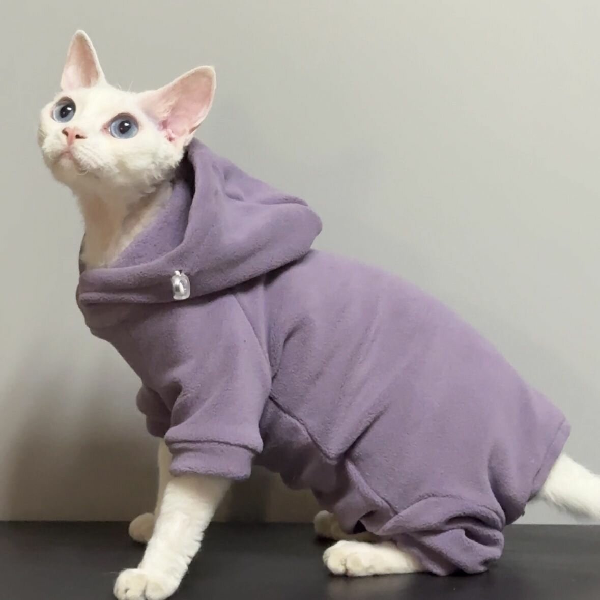 Флисовое пальто для кошки Сфинкс, теплая толстовка, комбинезон для домашних животных на 4 лапы