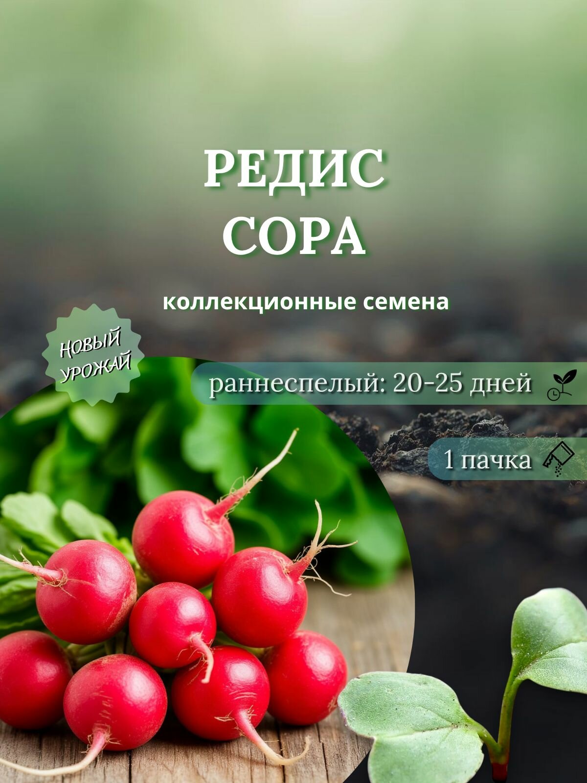 Редис Сора, коллекционные семена, 10 шт.