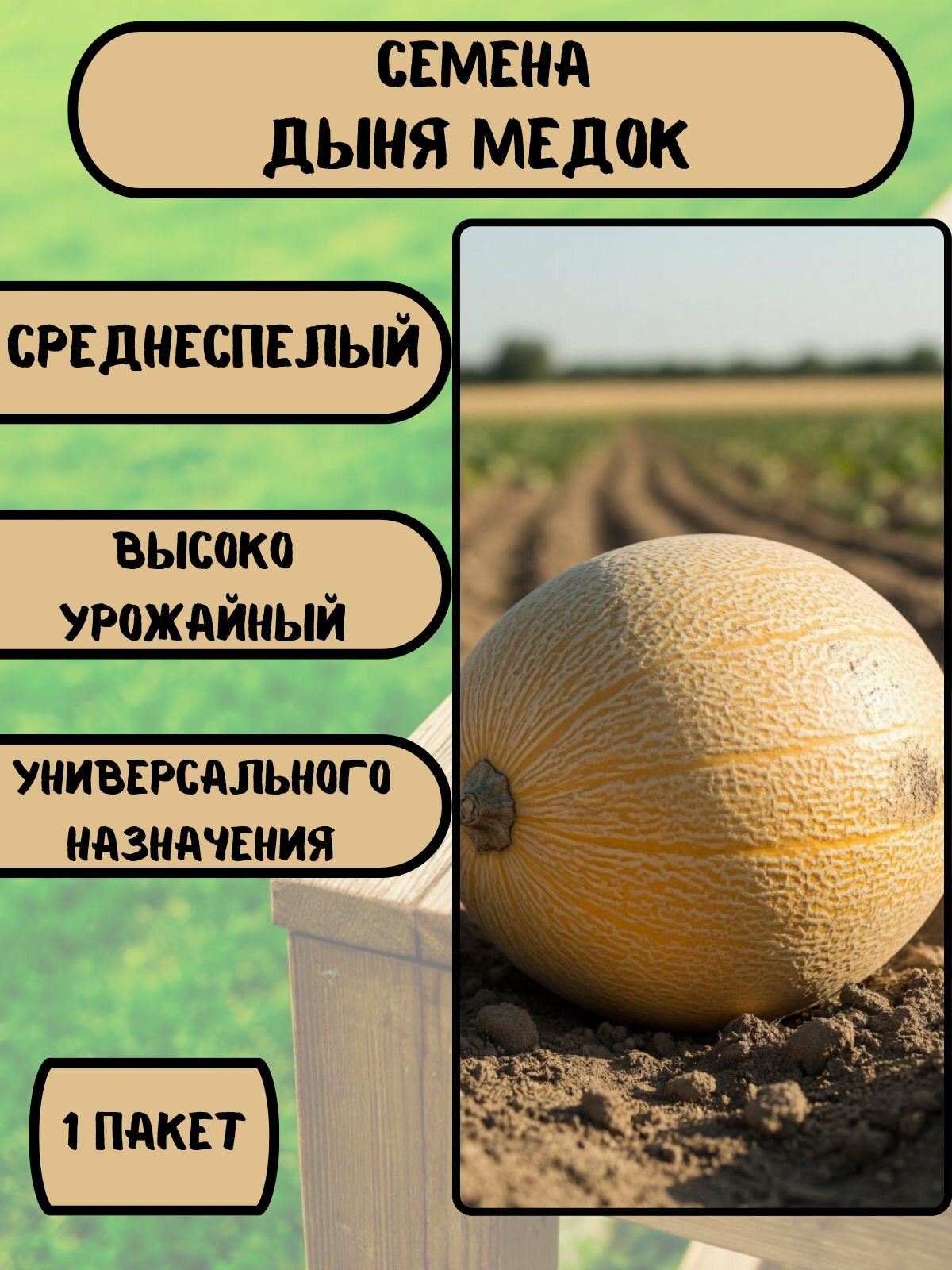 Дыня Медок, семена 10 шт