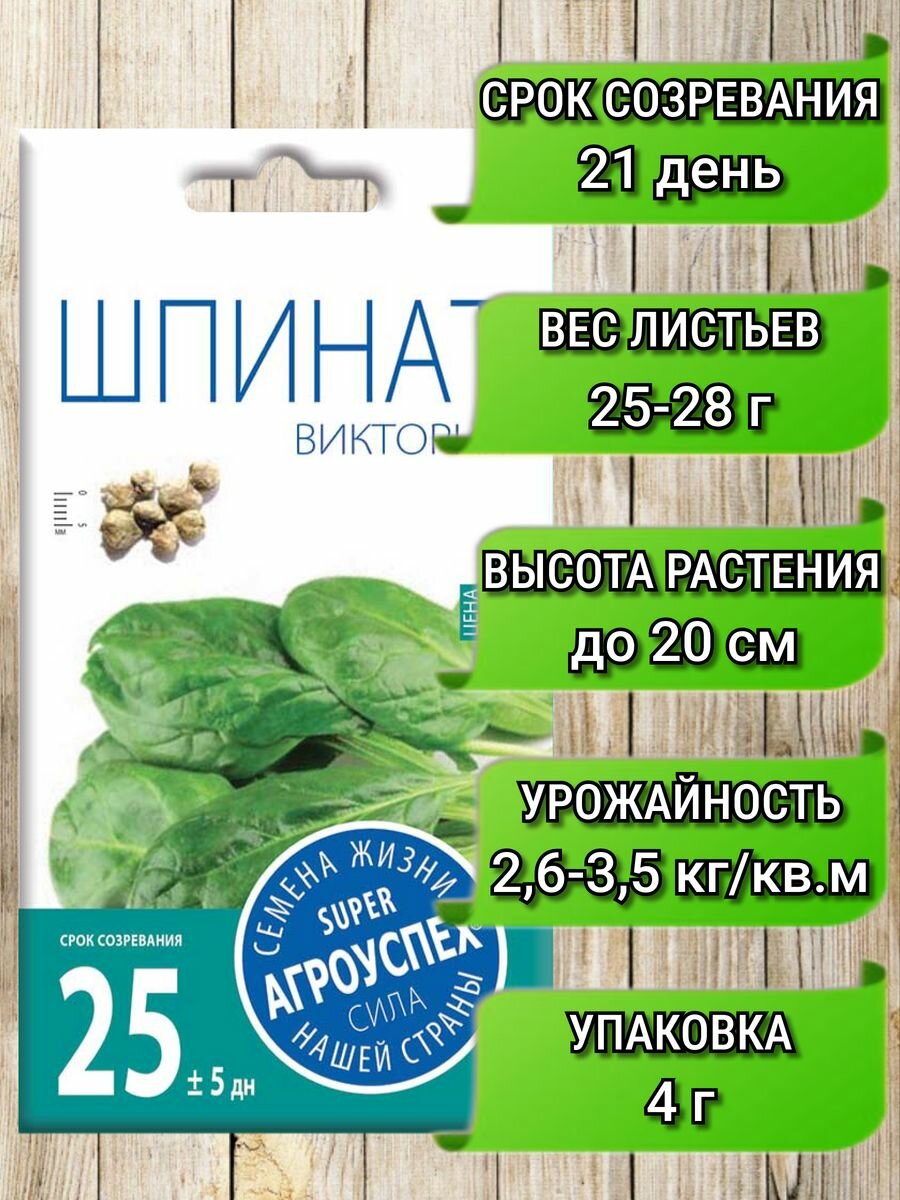 Семена зелени Агроуспех Шпинат: Виктория, Жирнолистный, Спейс — фото 1