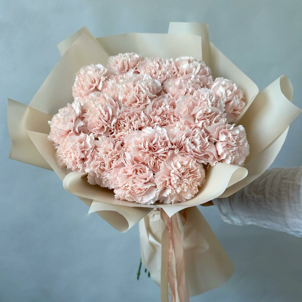 Букет из нежных гвоздик Диантус