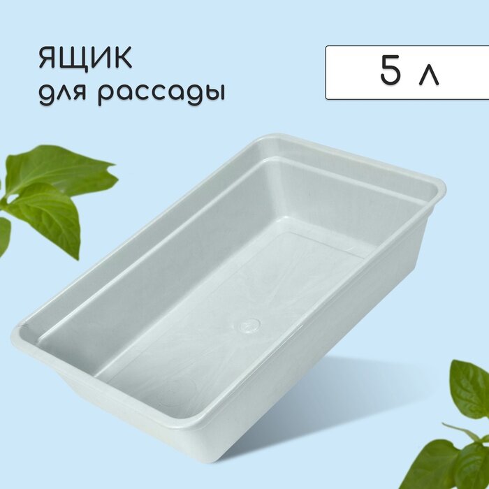 Ящик для рассады, 40×25×10 см, 5 л, пластик, микс, «Садовита 8»