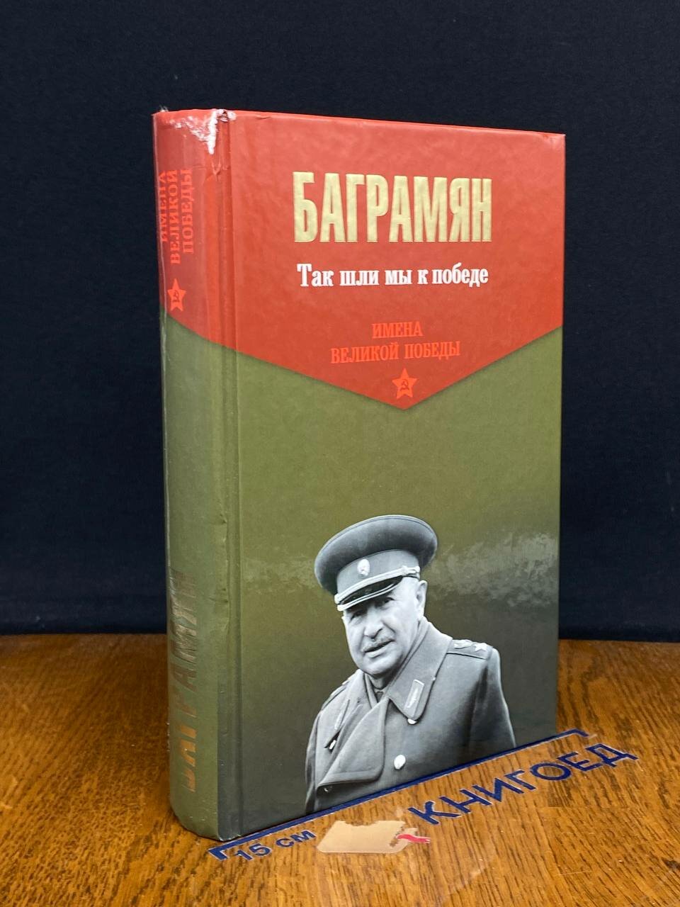 Книга. Так шли мы к победе 2015 (2042080808754)