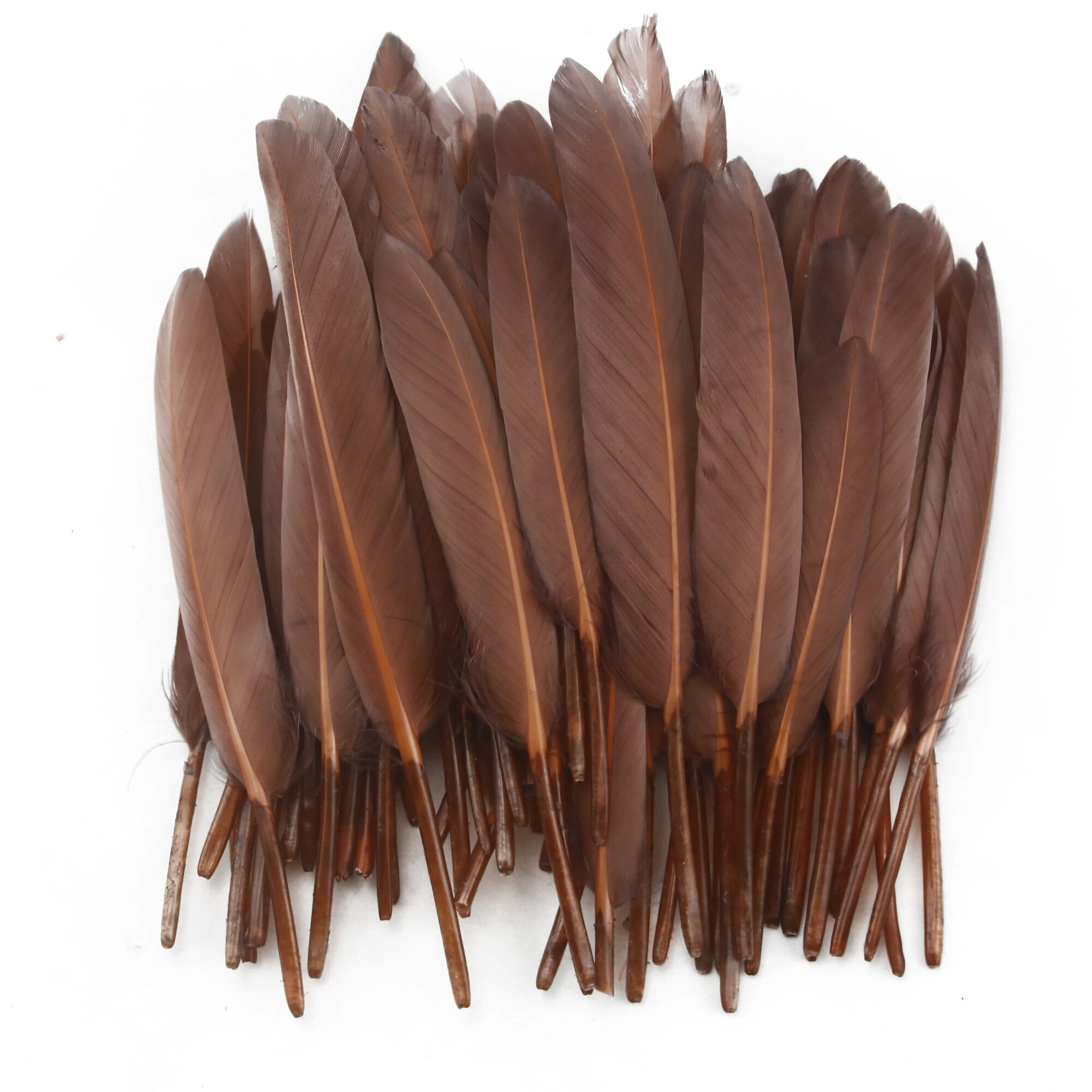 Карнавальные перья INSOMNIA STAR, гусиное перо, 100 шт. Коричневый, coffee