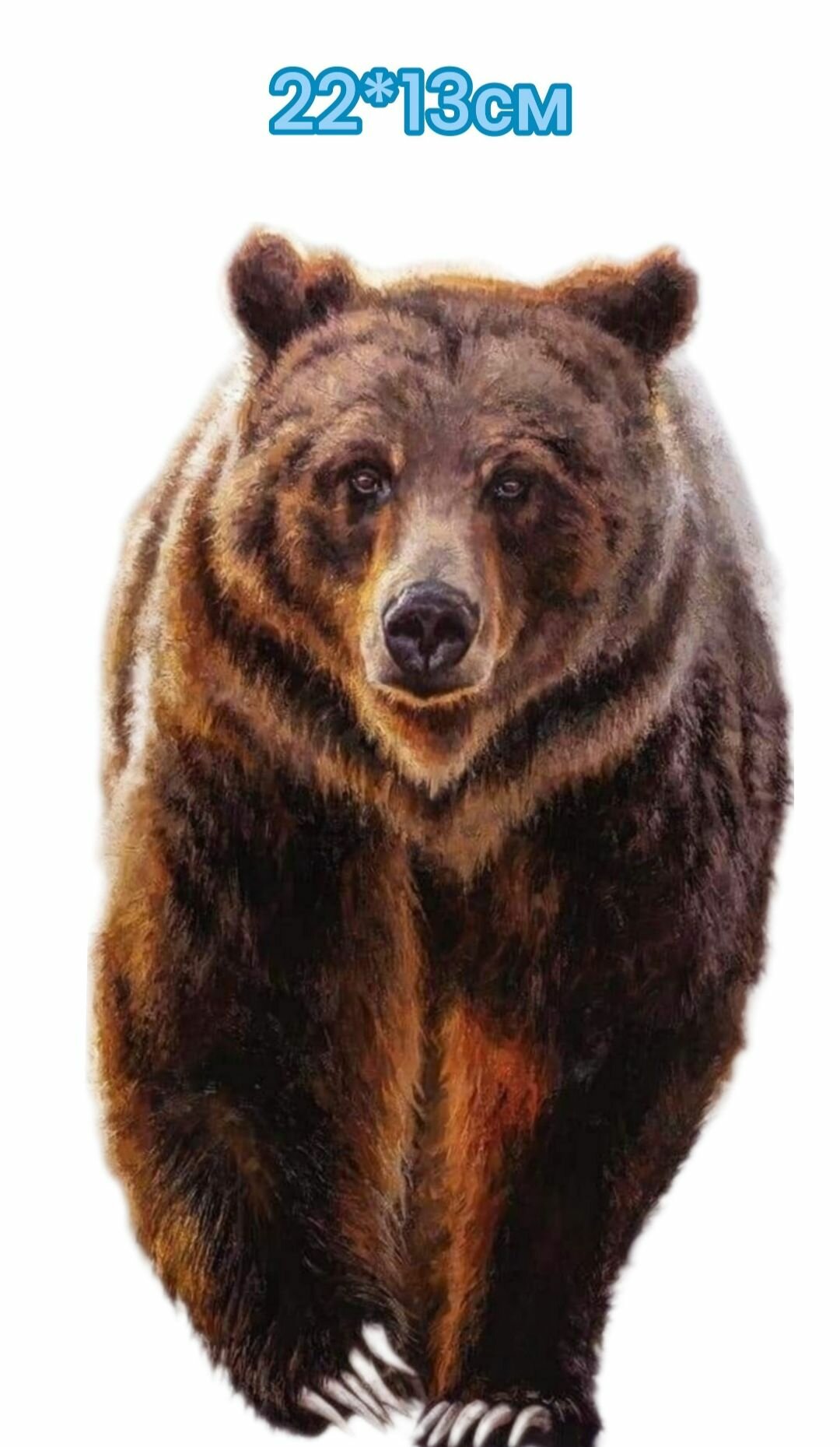 Термонаклейка медведь