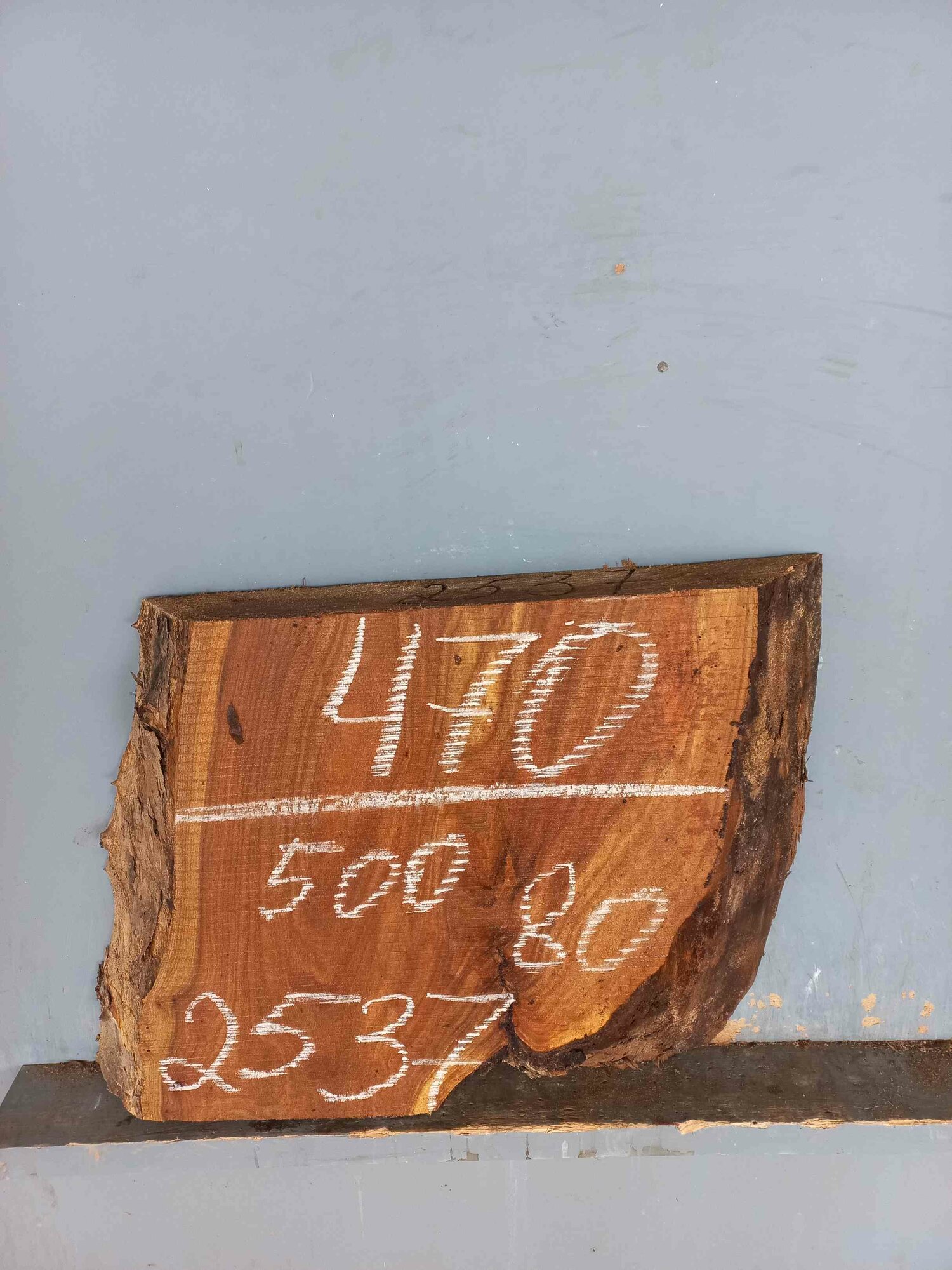 Слэб дерева твёрдых пород из массива Карагача №2537, 8*47*50 см, ДОКЛЕС