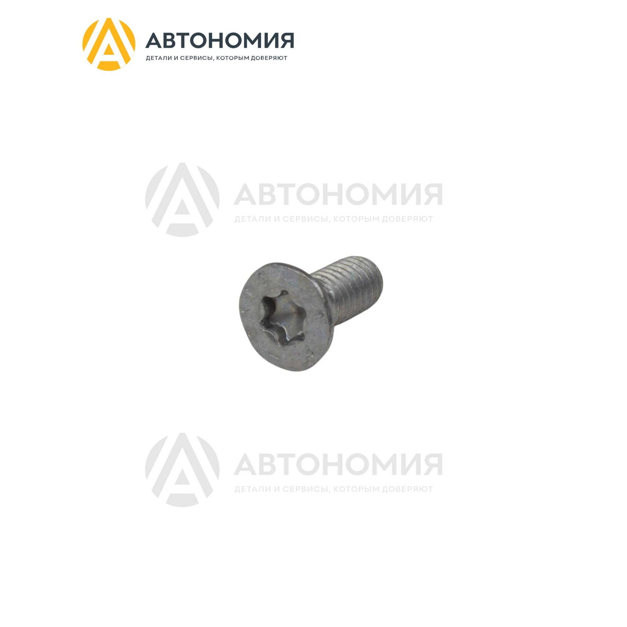 Винт тормозного диска с потайной головкой м6х16мм VAG N 106 483 01