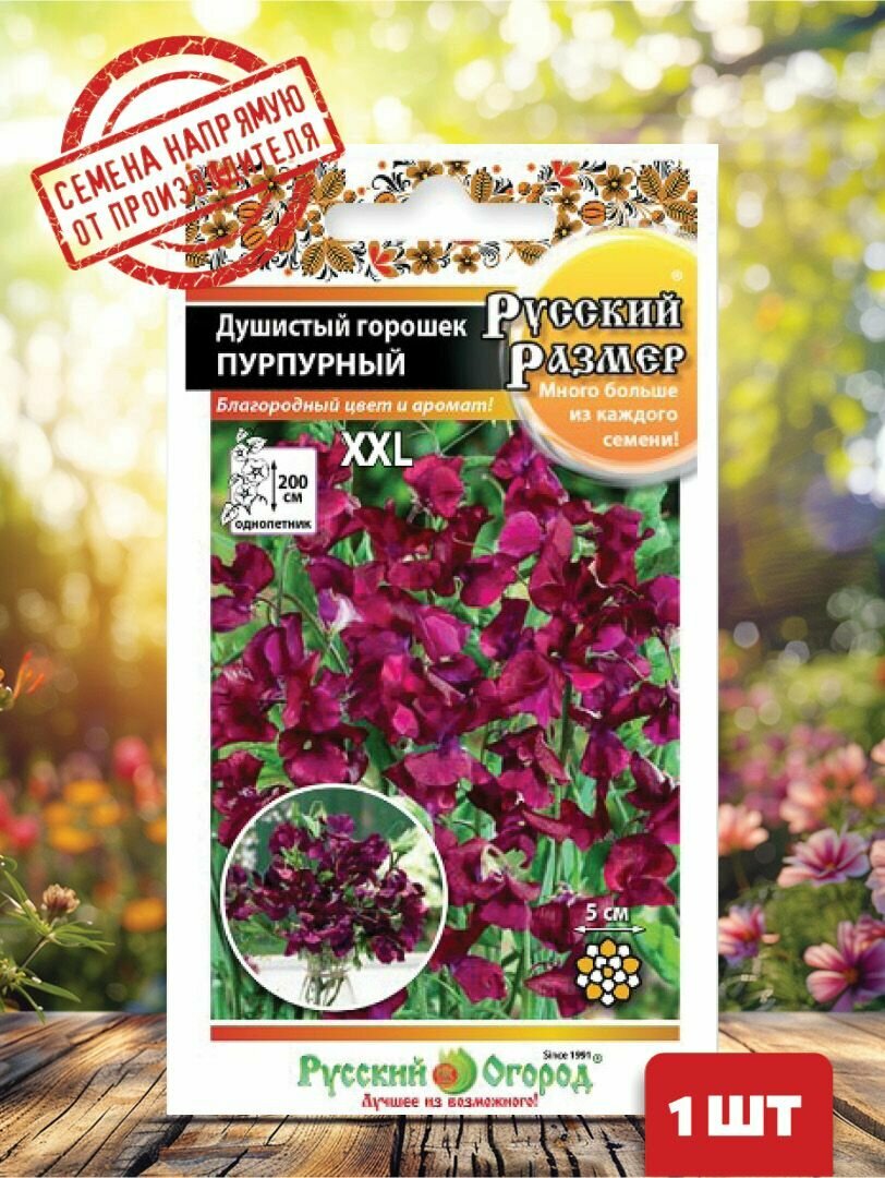 Семена растения горошек душистый русский размер, пурпурный