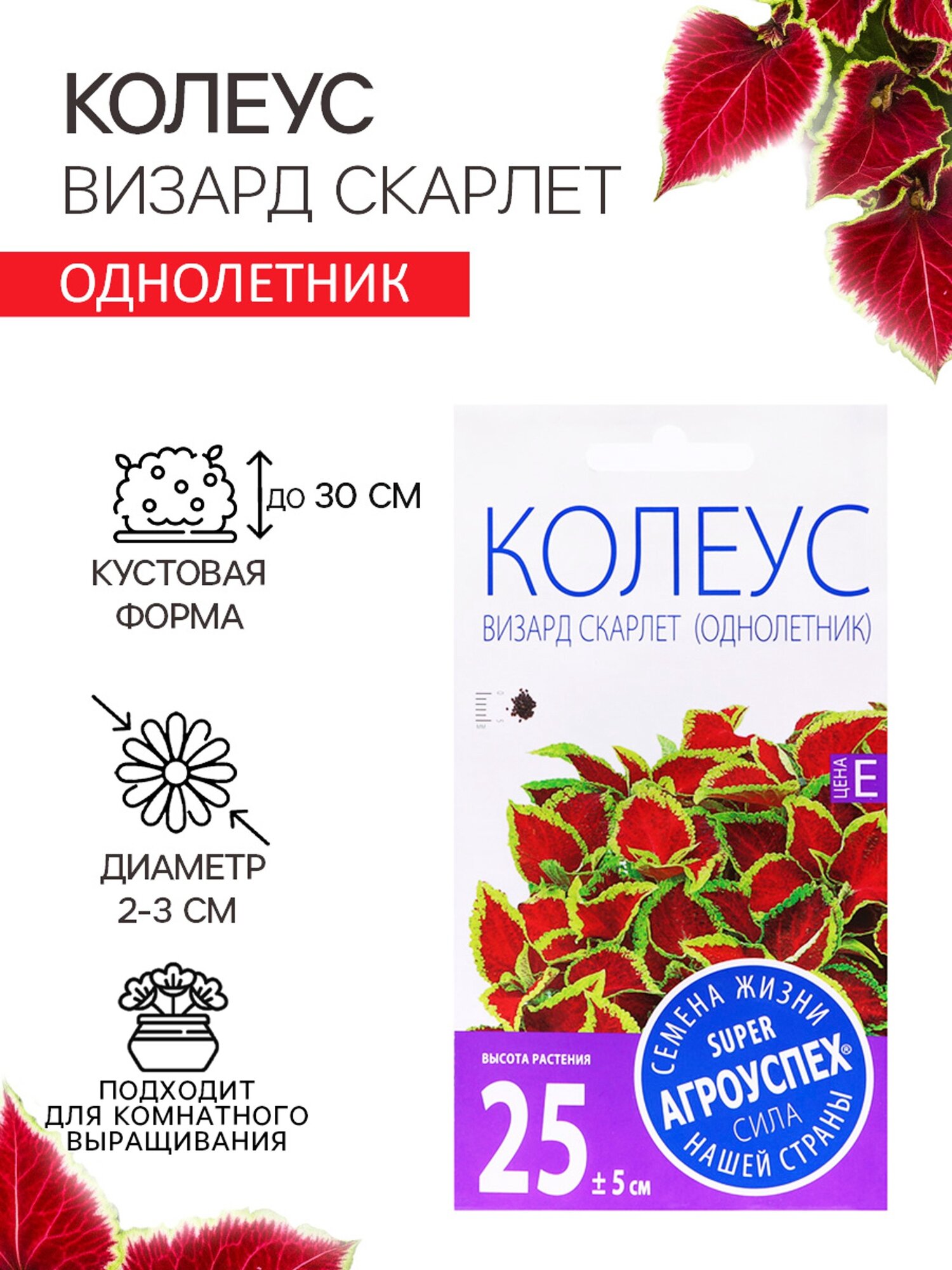 Семена Цветов Колеус «Визард Скарлет», 10 шт, «Агроуспех»