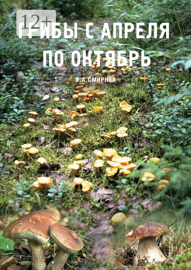 Грибы с апреля по октябрь