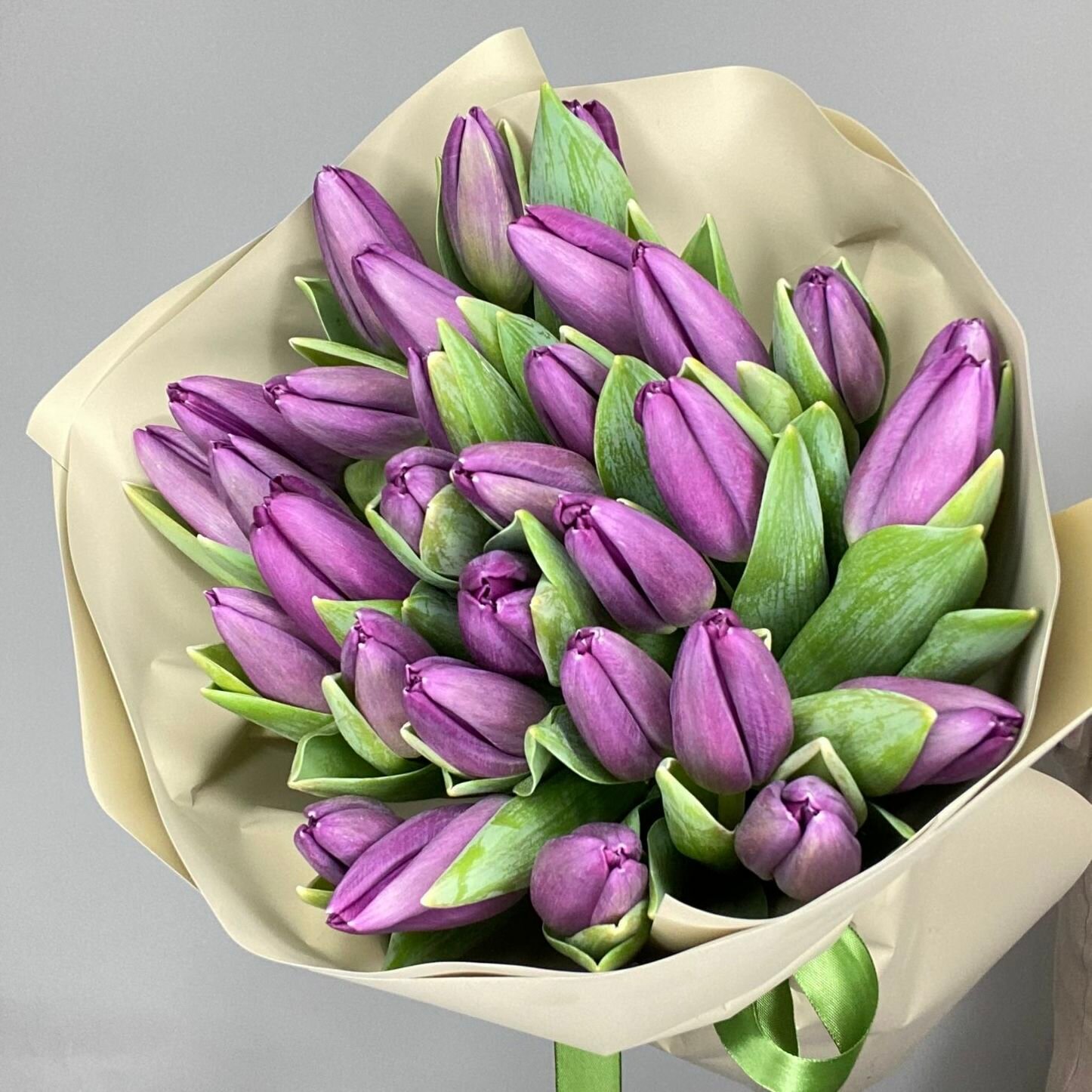 Фиолетовые тюльпаны