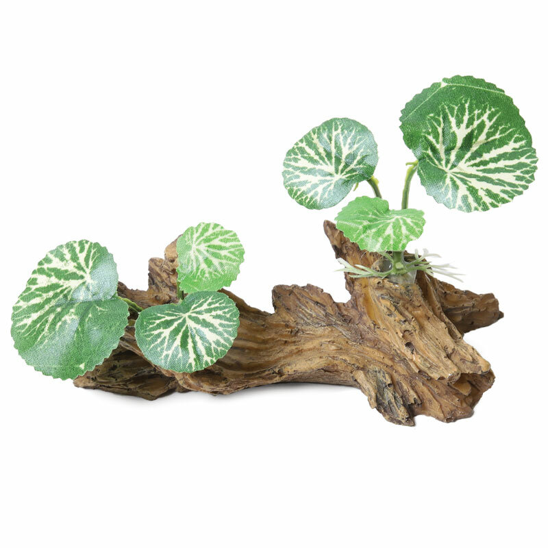 Laguna грот коряга с растениями горизонтальная M