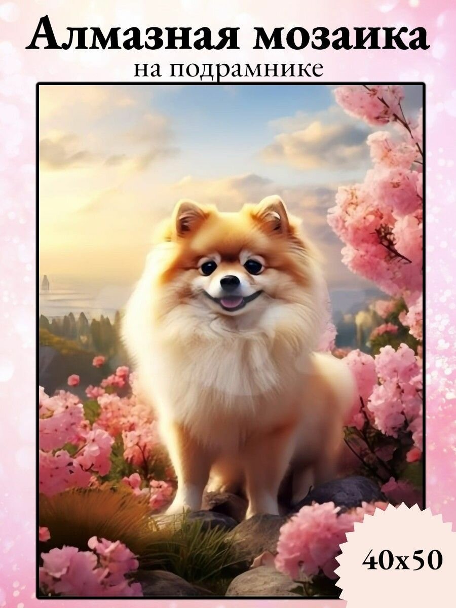 Алмазная мозаика, алмазная живопись на подрамнике 40х50 Картина стразами "Шпиц"