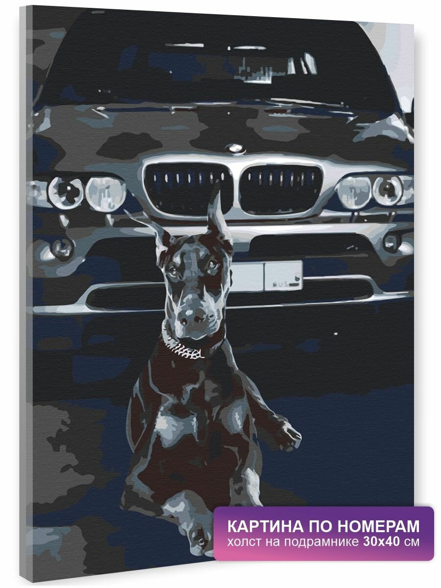 Картина по номерам на холсте с подрамником 40х50 см. Фильмы и сериалы. "Доберман и БМВ BMW Х5", арт. 3578/