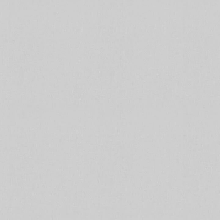 Обои виниловые на флизелине Erismann (Эрисманн) Spotlight 2 10.05х1.06 м, ER12205-31