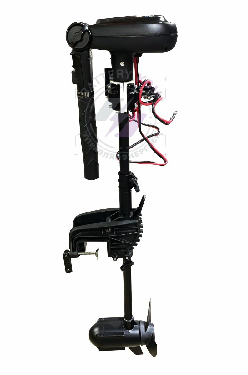 Электромотор Haswing Protruar 1.0 12V