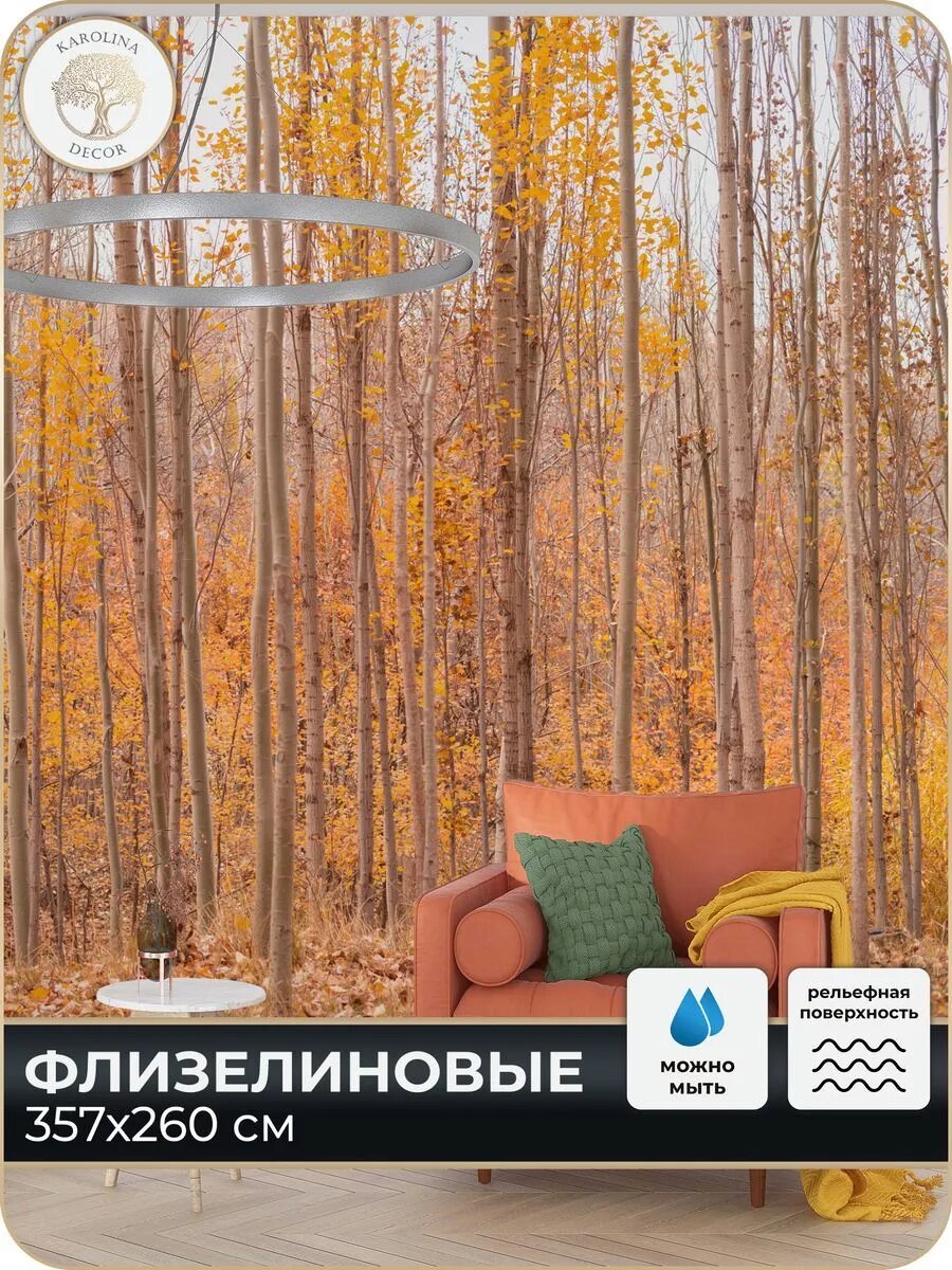 Фотообои Осенний Лес в зал в спальню на кухню 350х260