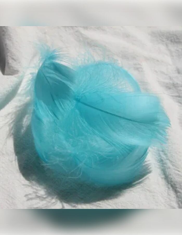 50 шт 3-8см Декоративные перья для рукоделия, поделок и творчества