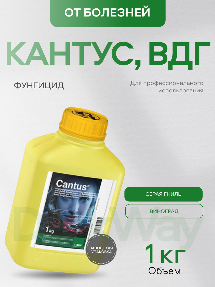 "Кантус ВДГ" фунгицид для борьбы с серой гнилью винограда, 1кг