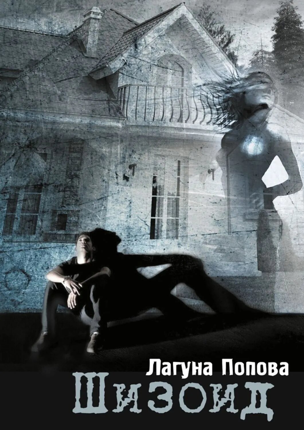 Шизоид [Цифровая книга]