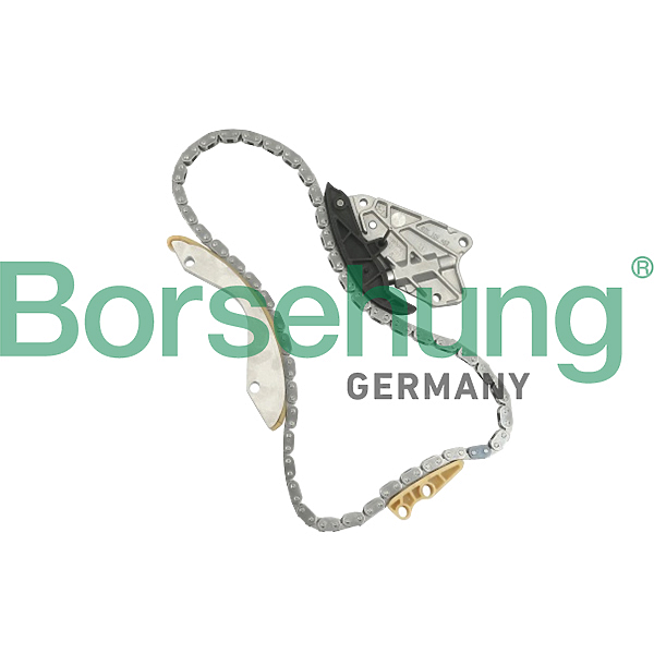 BORSEHUNG B10206 к-кт цепи привода распредвала 07k109158b-kit \VW jetta III / new beetle 2.5i 05-10