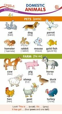 Карточка-шпаргалка. Domestic Animals/Домашние животные (110*205) (ШМ-15048), (Сфера, 2023), Л