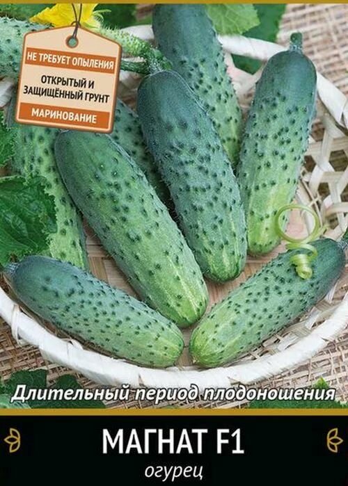 Коллекционные семена огурца F1 Магнат