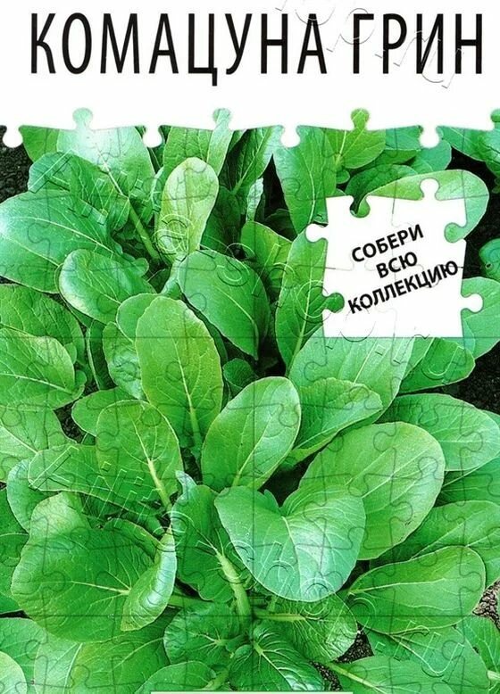 Коллекционные семена капусты Комацуна грин