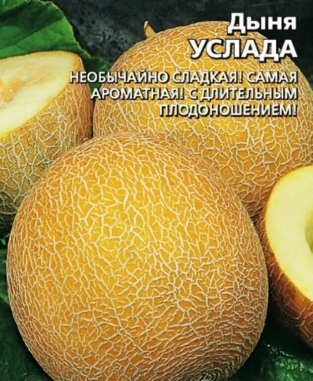 Коллекционные семена дыни Услада