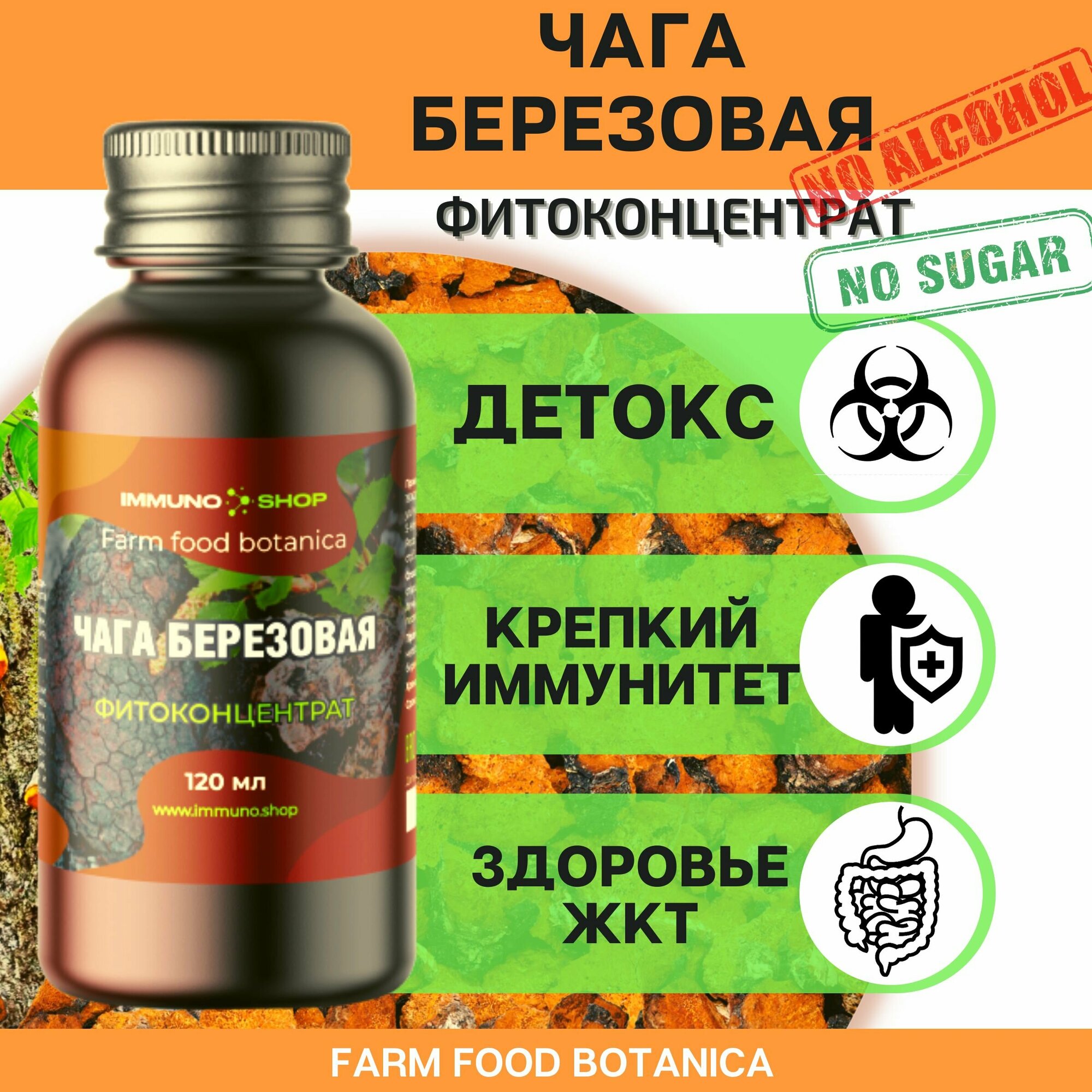 Чага березовая фитоконцентрат Farm food botanica IMMUNO.SHOP детокс, для желудка, профилактика онкологии 120 мл.