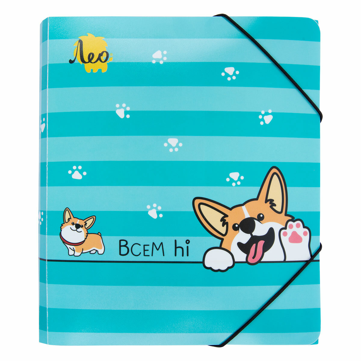 04-Корги Папка на резинке A4 LRF-06-KY19 450 мкм 35 мм песок надежное хранение документов