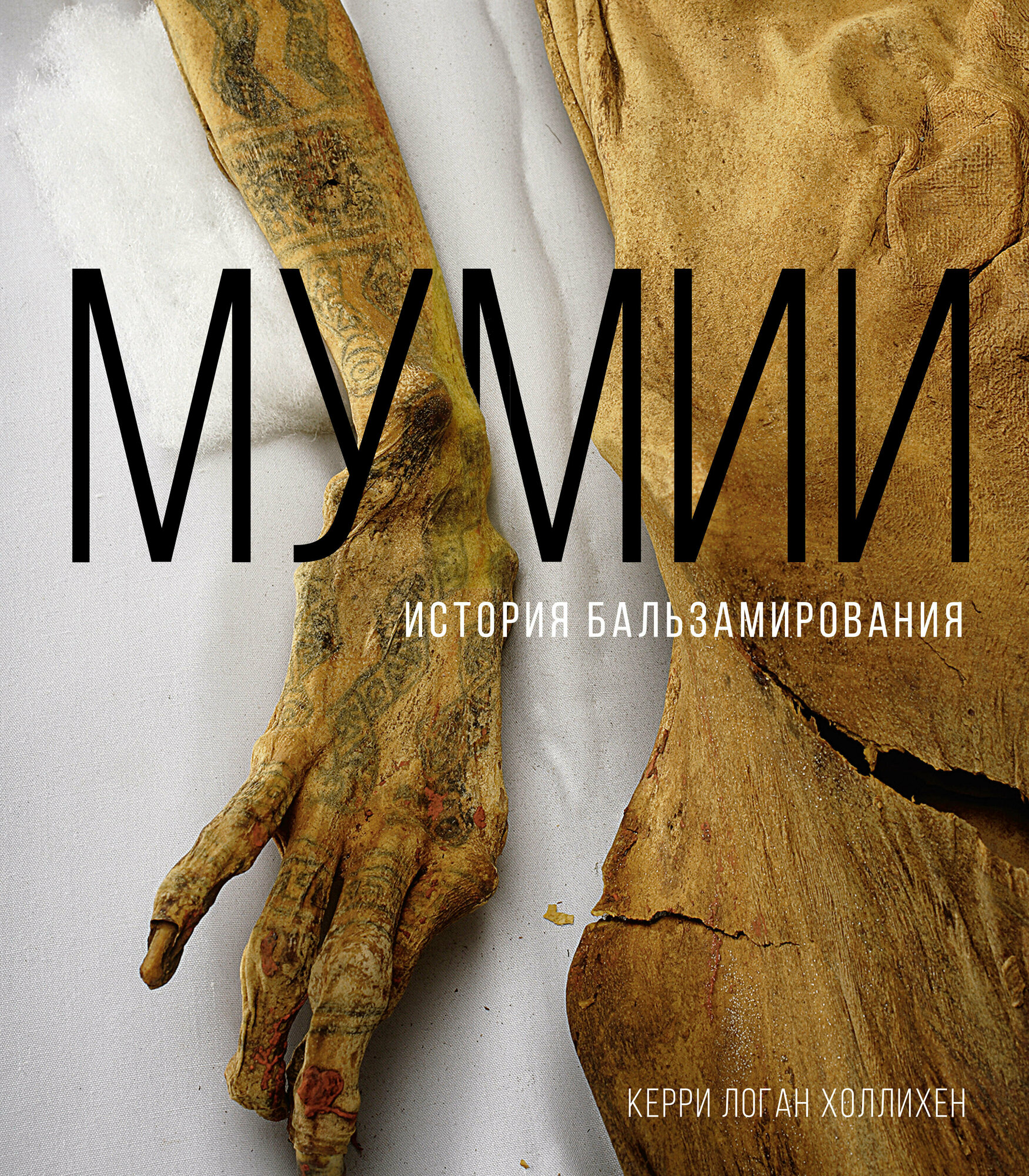 Мумии. История бальзамирования Холлихен К.