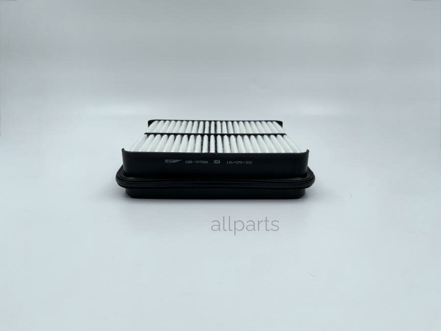 BIG FILTER GB9788 Фильтр воздушный